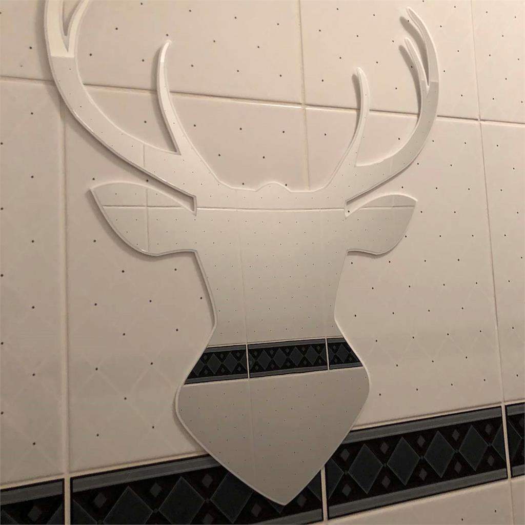 Aslan SE 75 MirrorEffect Antiscratch 75mic - Print Supplies AS